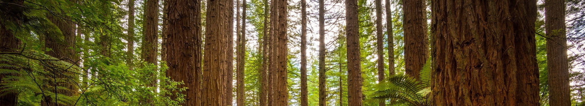 LEV Testing | Local Exhaust Ventilation Testing From Nederman